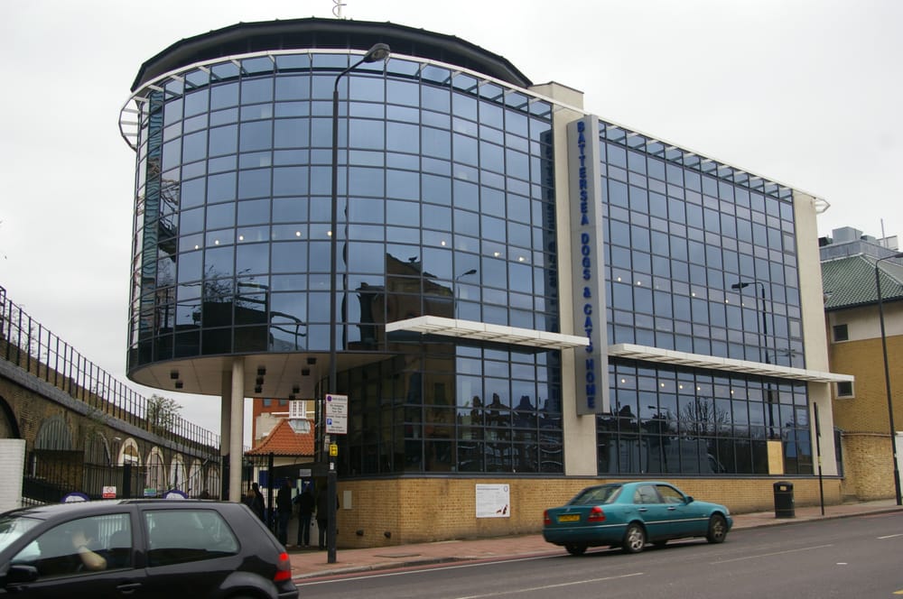 Battersea Dogs Cats Home Animal Shelters Nine Elms London battersea-dogs-cats-home-animal-shelters-nine-elms-london