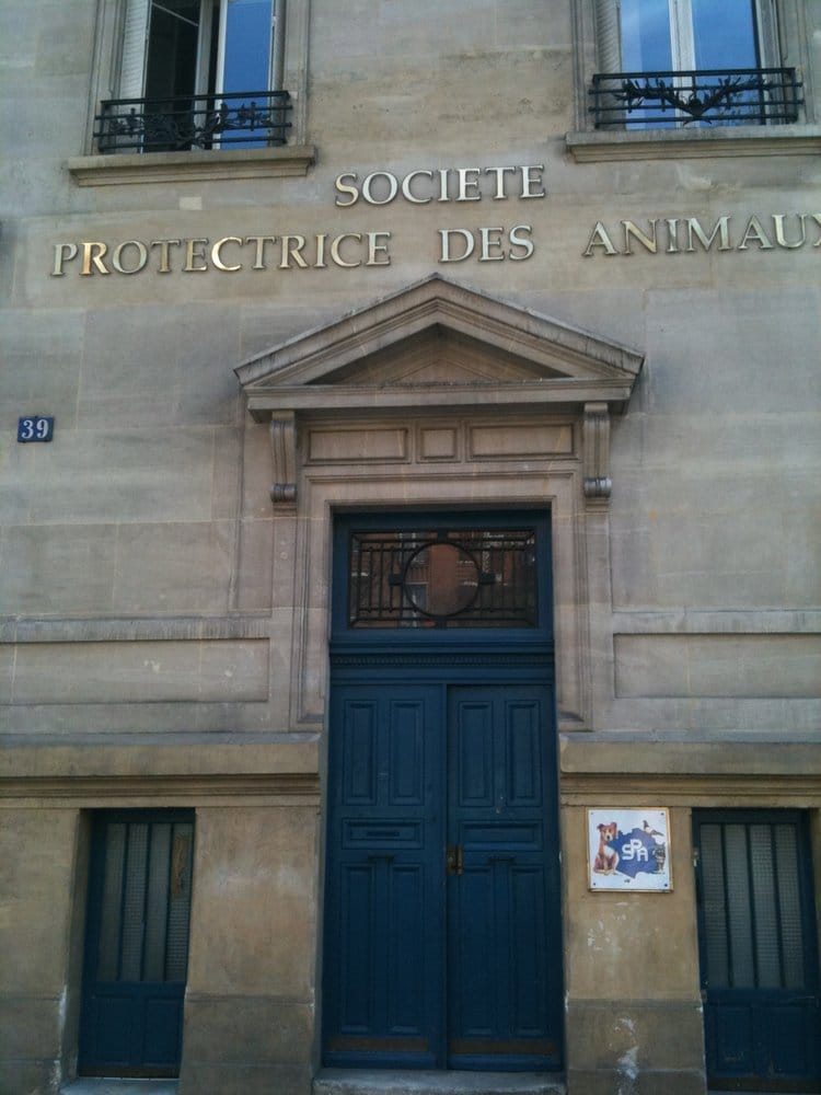 Société Protectrice des Animaux - Animal Shelters - 39 Boulevard ...