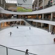 Lloyd Center Ice Rink - 21 Photos & 48 Reviews - Skating Rinks - 953 ...