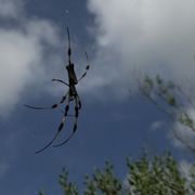 Long Key Natural Area & Nature Center - 120 Photos & 15 Reviews - Parks ...