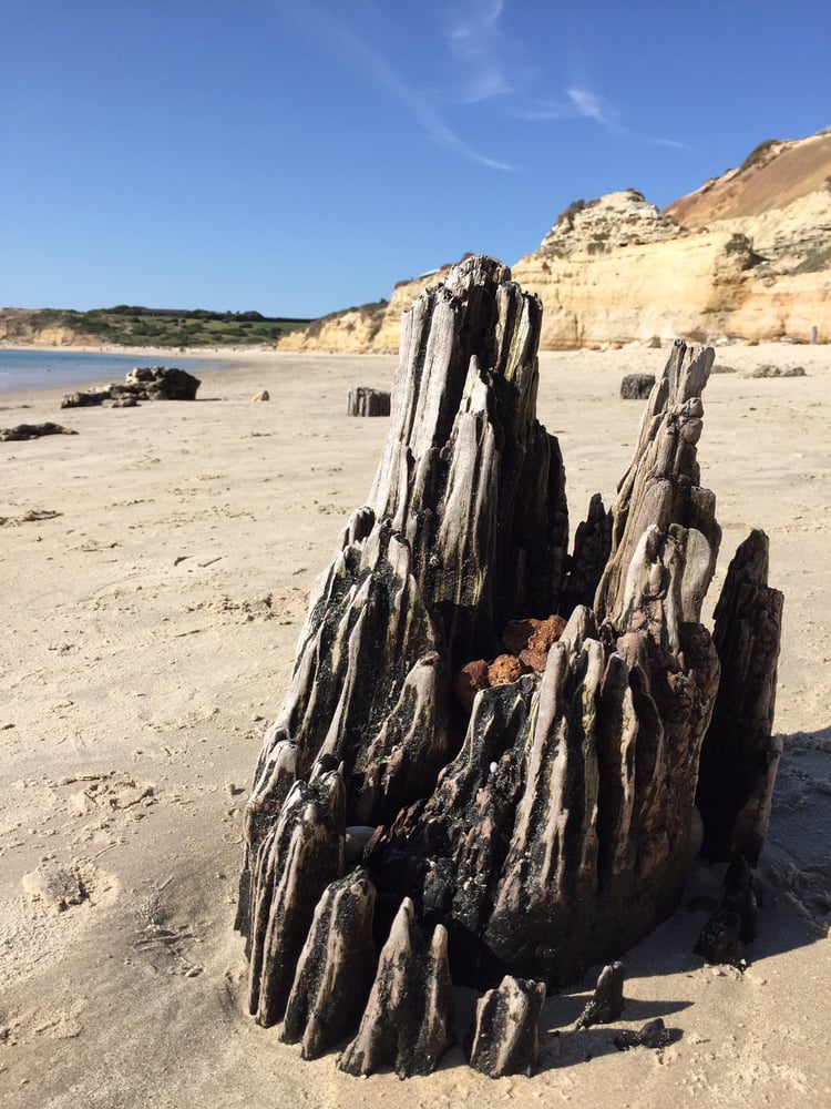 Port Willunga Beach - 43 Photos - Beaches - Aldinga, Port Willunga ...