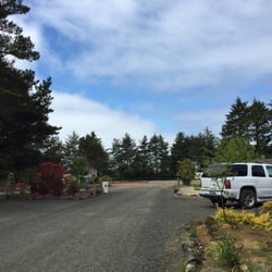 The Driftwood RV Resort & Campground - 16 Photos - Campgrounds - 3209 ...