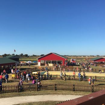 Stade’s Farm & Market - 215 Photos & 54 Reviews - Farmers Market - 3709 ...