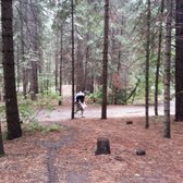 Pipi Campground - 59 Photos & 20 Reviews - Campgrounds - Pioneer, CA ...