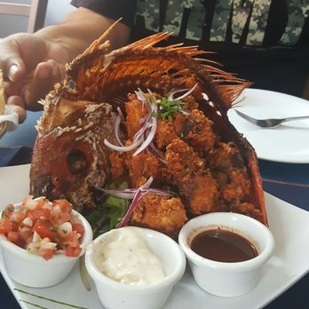 Lion Fish - 173 Photos & 68 Reviews - Bars - Erasmo Castellanos Q. 1857 ...