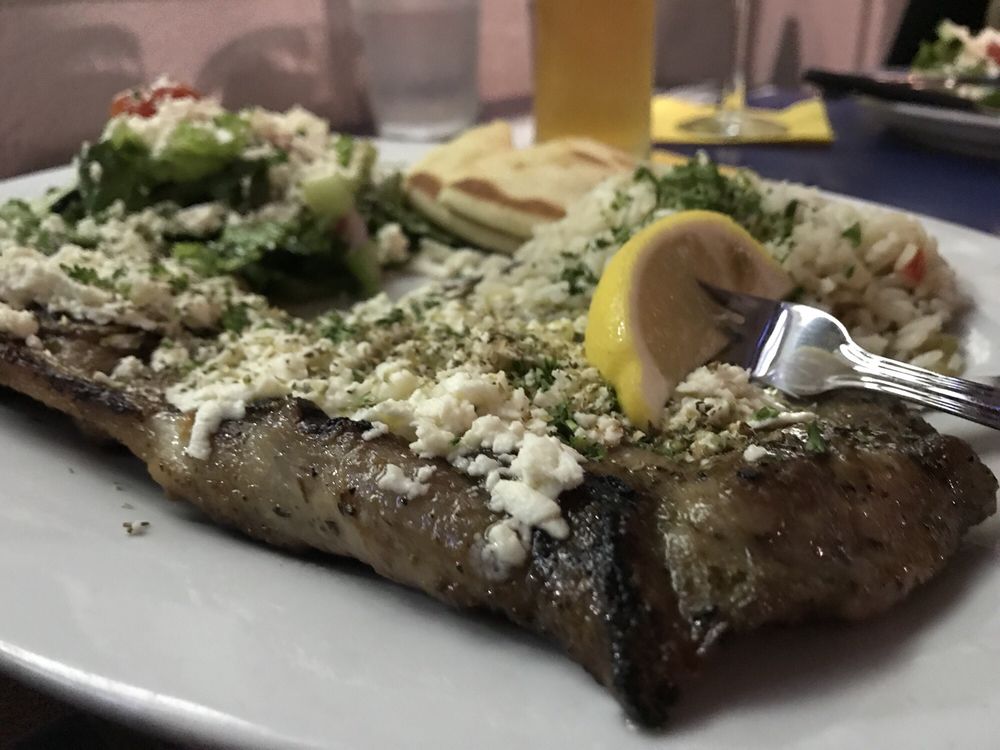 Yanni’s Greek Restaurant - 104 Photos & 229 Reviews - Greek - 7419 ...