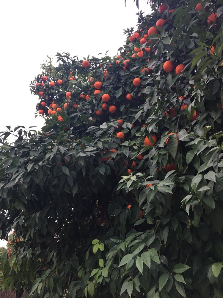 Incirlik Air Base in Incirlik, Turkey | MilitaryBases.com