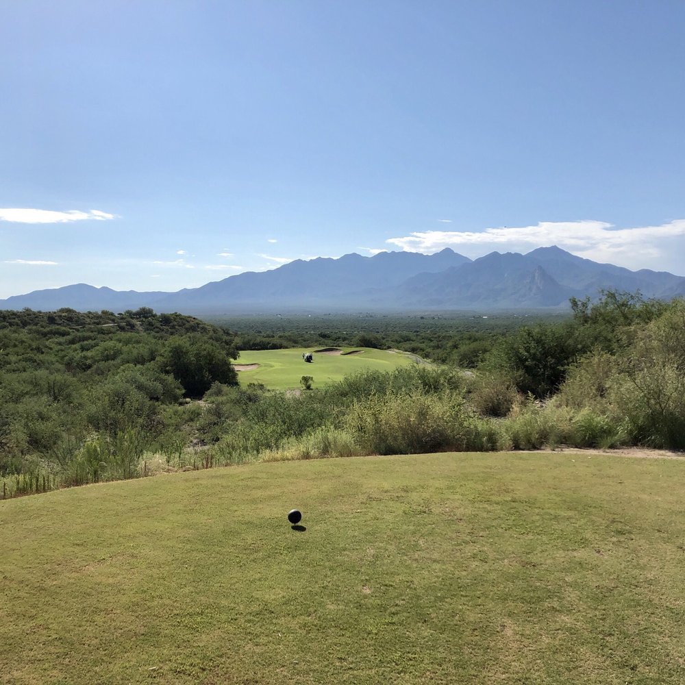 Duff(ing) Surly - Yelp