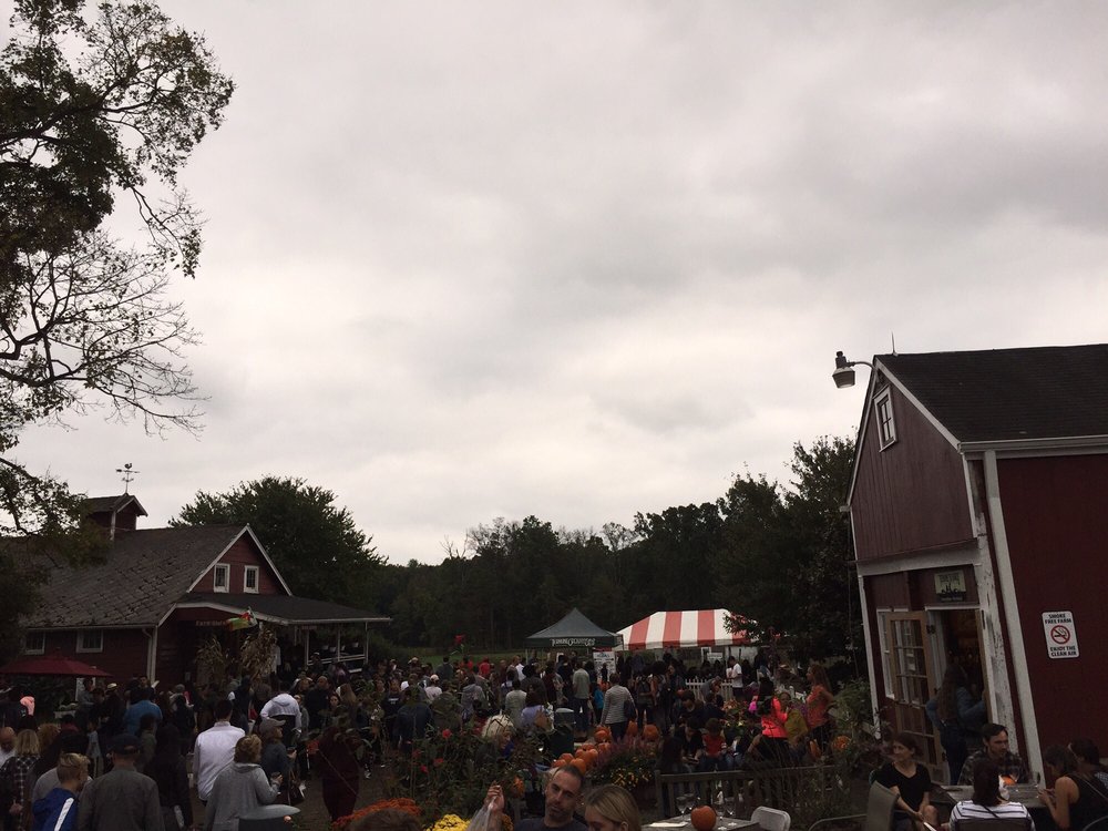 Terhune Orchards - 332 Photos & 247 Reviews - Farms - 330 Cold Soil Rd ...