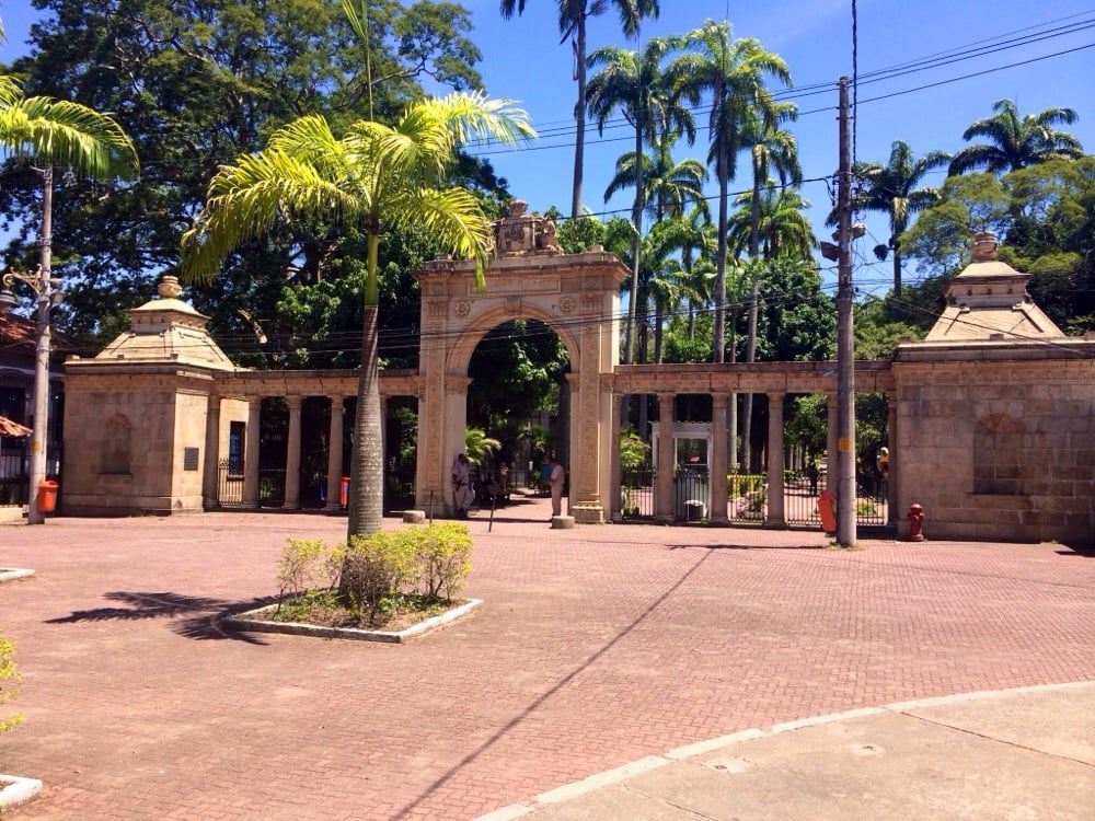 RIOZOO -Exploring Rio de Janeiro by Transit