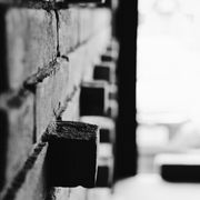 Coral Sword - 112 Photos & 72 Reviews - Cafes - 1318 Telephone Rd ...