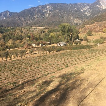 Riley’s Farm - 236 Photos & 139 Reviews - Fruits & Veggies - 12261 S ...