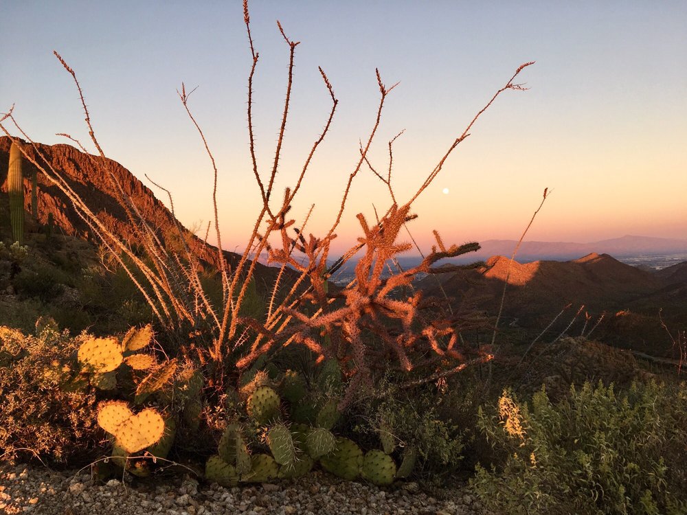 Gates Pass - 28 Photos & 19 Reviews - Hiking - Gates Pass Rd, Tucson ...