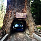 Drive-Thru Tree - 197 Photos & 112 Reviews - Parks - 67402 Drive Thru ...