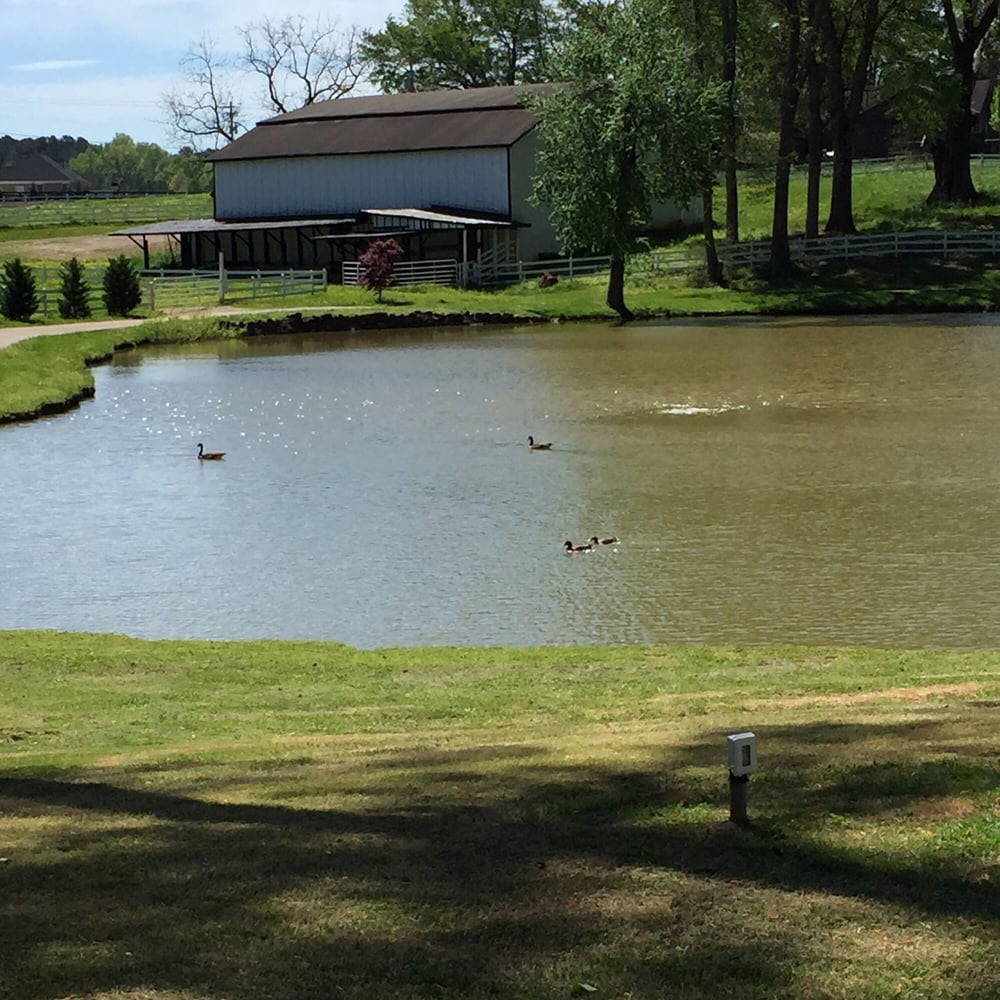 Little River Farms - Venues & Event Spaces - 14505 Batesville Rd ...
