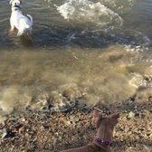 Shadow Cliffs Regional Recreation Area - 122 Photos & 109 Reviews ...