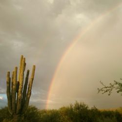 Eagle View RV Resort - 52 Photos & 11 Reviews - RV Parks - 9605 N Fort ...