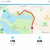 Lake Merced - 461 Photos & 251 Reviews - Parks - 1 Harding Rd ...