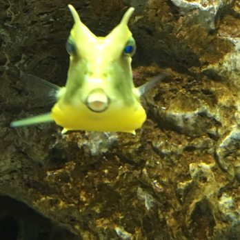 The Redlands Underground Restaurant and Bar - 46 Photos & 82 Reviews ...