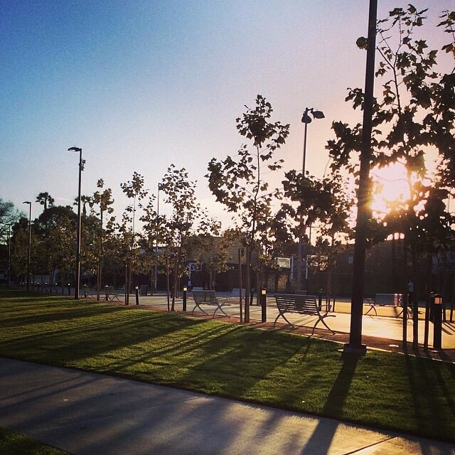 West Hollywood Park - 46 Photos & 26 Reviews - Parks - 647 N San ...