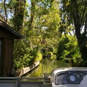 Scenic Boat Tour - 188 Photos & 123 Reviews - Boat Tours - 312 E Morse Blvd, Winter Park, Winter ...