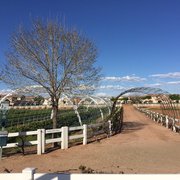 Agritopia - 30 Photos & 14 Reviews - Farmers Market - 3000 E Ray Rd ...