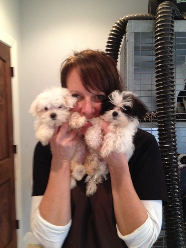 The Groom Room 22 Photos Pet Groomers 20604 Coley Stote Rd the-groom-room-22-photos-pet-groomers-20604-coley-stote-rd