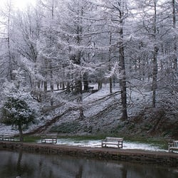 Forge Dam - Landmarks & Historical Buildings - Sheffield, South ...