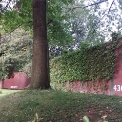 Forbes Field Outfield Wall - 21 Photos & 11 Reviews - Parks - 3960 ...