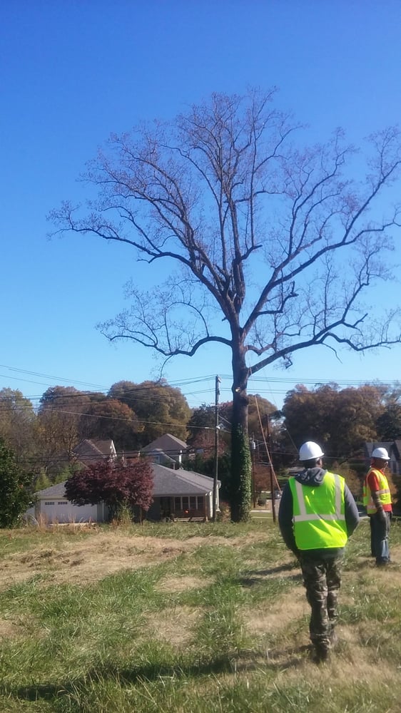 Spaulding Tree Service - 11 Reviews - Tree Services - Eastland ...