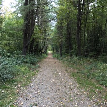 Naugatuck State Forest - 14 Photos - Hiking - Buswell St, Ansonia, CT ...