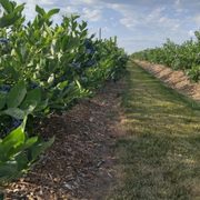 Piper Farms - Pick Your Own Farms - 13911 E Piper Rd, Spokane, WA ...