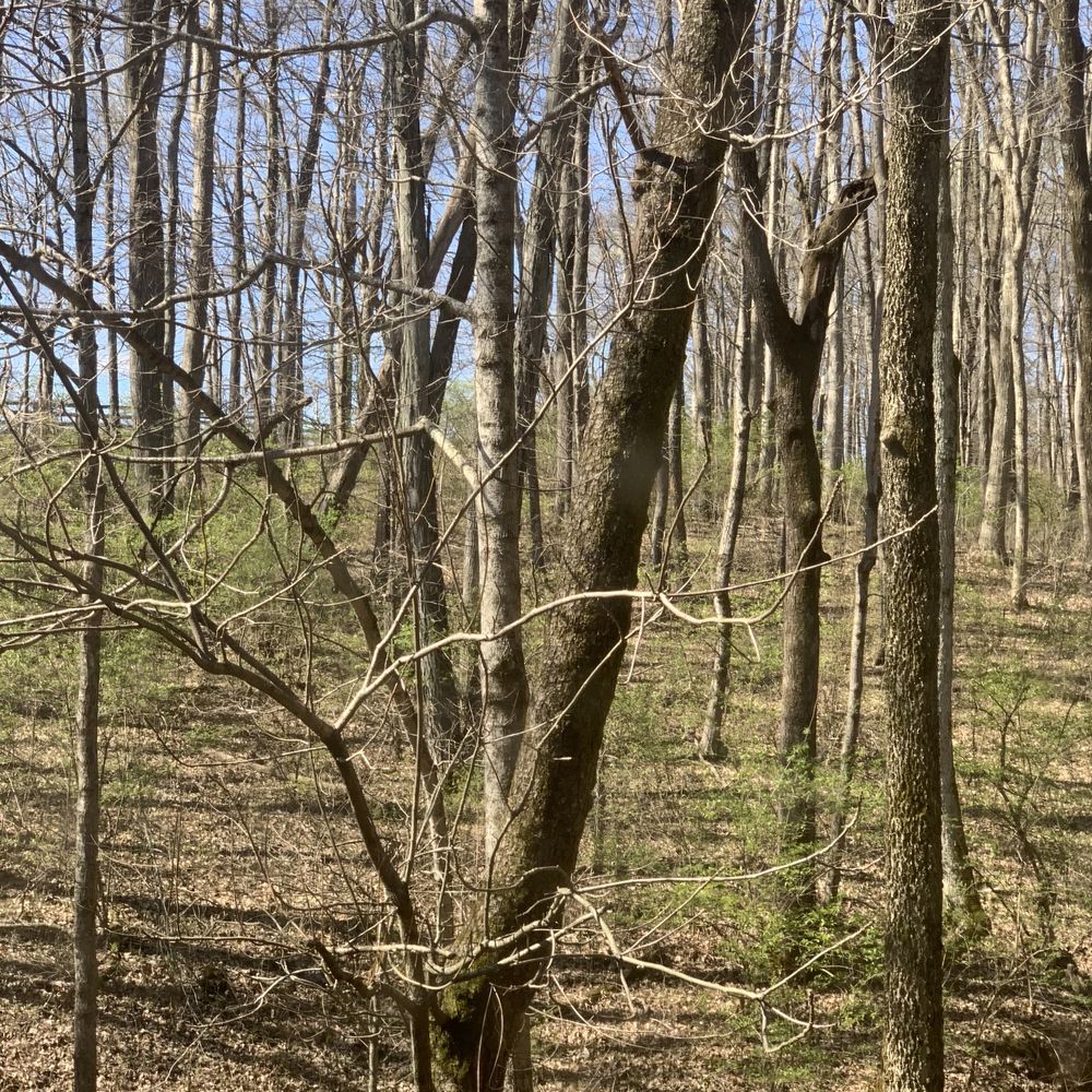 Louisville's Most Gorgeous Parks - Yelp