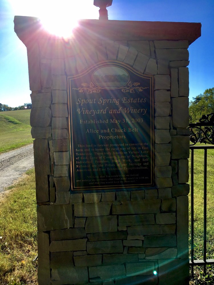 Spout Spring Estates Winery and Vineyard - 31 Photos - Wineries - 430 ...