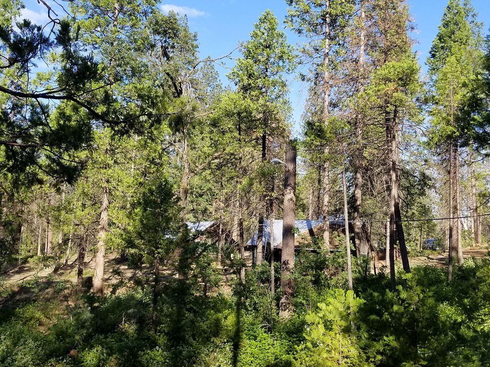 PSEA Camp Wishon - 17 Photos - Lakes - 38088 Rd 222, Wishon, CA - Phone ...