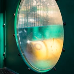 Plummer Park - 22 Photos - Parks - West Hollywood - West Hollywood, CA ...