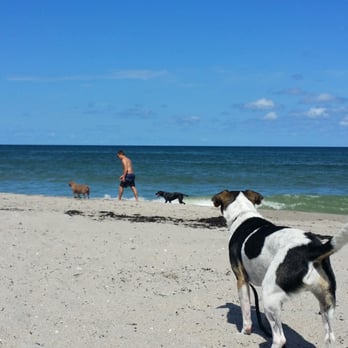 Juno Beach Park - 145 Photos & 64 Reviews - Beaches - 14775 US Hwy 1 ...