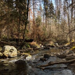 Lewis Creek Trail - 18 Photos - Hiking - Oakhurst, CA - Yelp