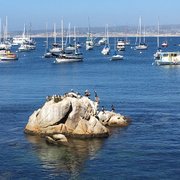 Monterey Bay Coastal Trail - 349 Photos & 84 Reviews - Hiking ...