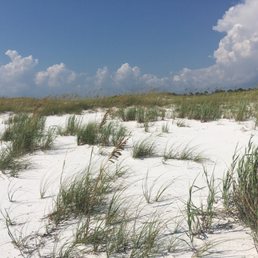 Shell Island White Sand Beach - 25 Photos & 17 Reviews - Beaches - 4607 ...