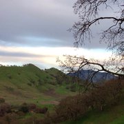 Shell Ridge Open Space - 123 Photos & 41 Reviews - Hiking - 1035 Castle ...