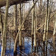 Carpenter Lake Nature Preserve - 103 Photos & 23 Reviews - Hiking - 10 ...
