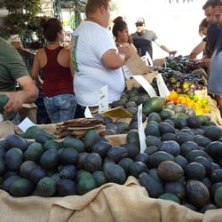 California Avocado Festival - 361 Photos & 37 Reviews - Local Flavor ...