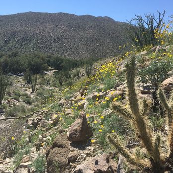 Tamarisk Grove Campground - 32 Photos - Campgrounds - 5960 Yaqui Pass ...