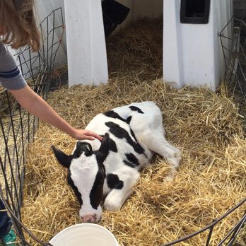 Cook’s Farm Dairy - 47 Photos & 78 Reviews - Ice Cream & Frozen Yogurt ...