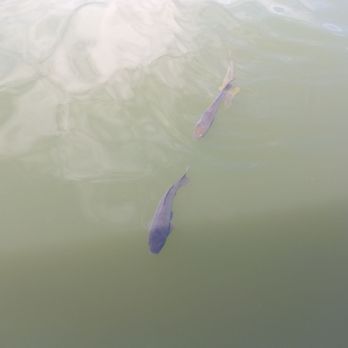 Elephant Butte Lake State Park - 72 Photos & 29 Reviews - Fishing - 101 ...