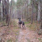 Sam Houston National Forest - 2019 All You Need to Know BEFORE You Go ...