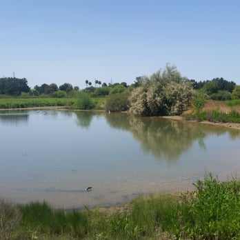 Riparian Preserve at Water Ranch - 294 Photos & 100 Reviews - Parks ...