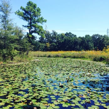 Houston Arboretum & Nature Center - 314 Photos & 92 Reviews - Parks ...