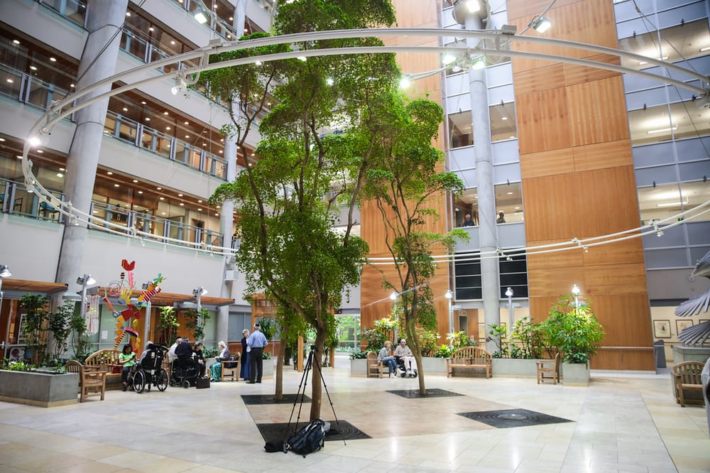 Baycrest - Hospitals - 3560 Bathurst Street, North York, ON - Phone ...